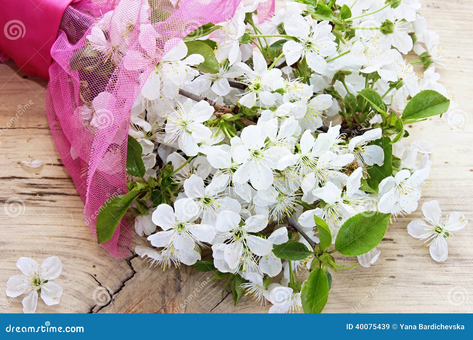 Ramo De Ramas De La Flor De Cerezo En La Madera. Imagen de archivo ...