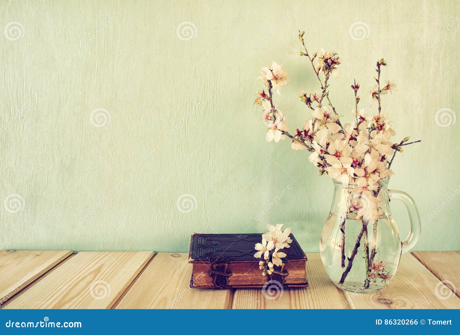 Ramo de ramas del cerezo foto de archivo. Imagen de hola - 86320266