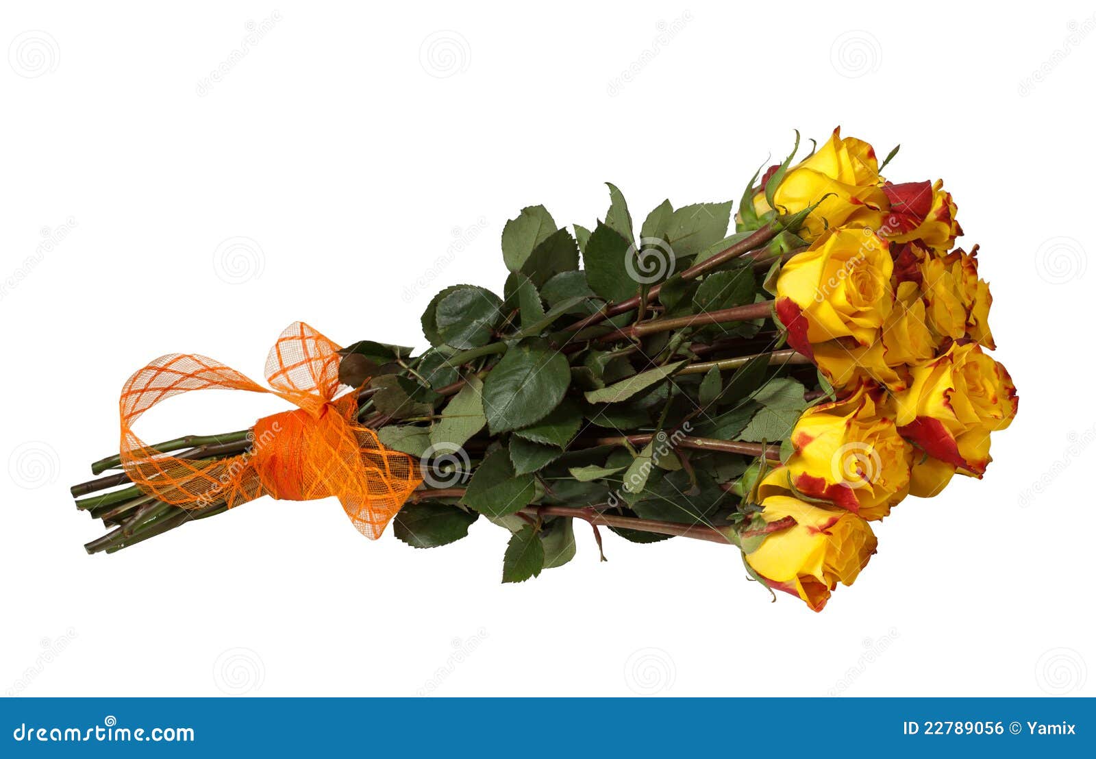 Ramo de rosas. foto de archivo. Imagen de espacio, brote - 22789056