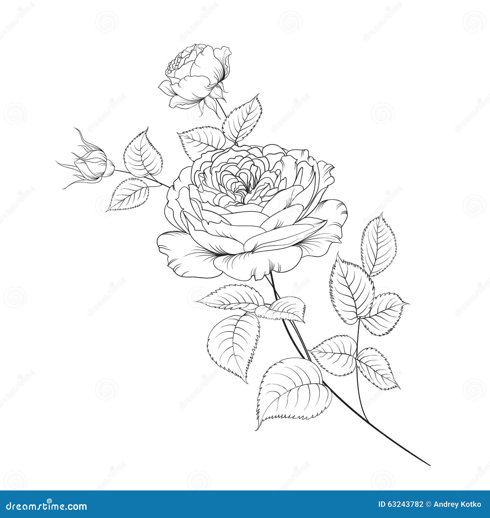 Ramo de rosas ilustración del vector. Ilustración de cubo - 63243782