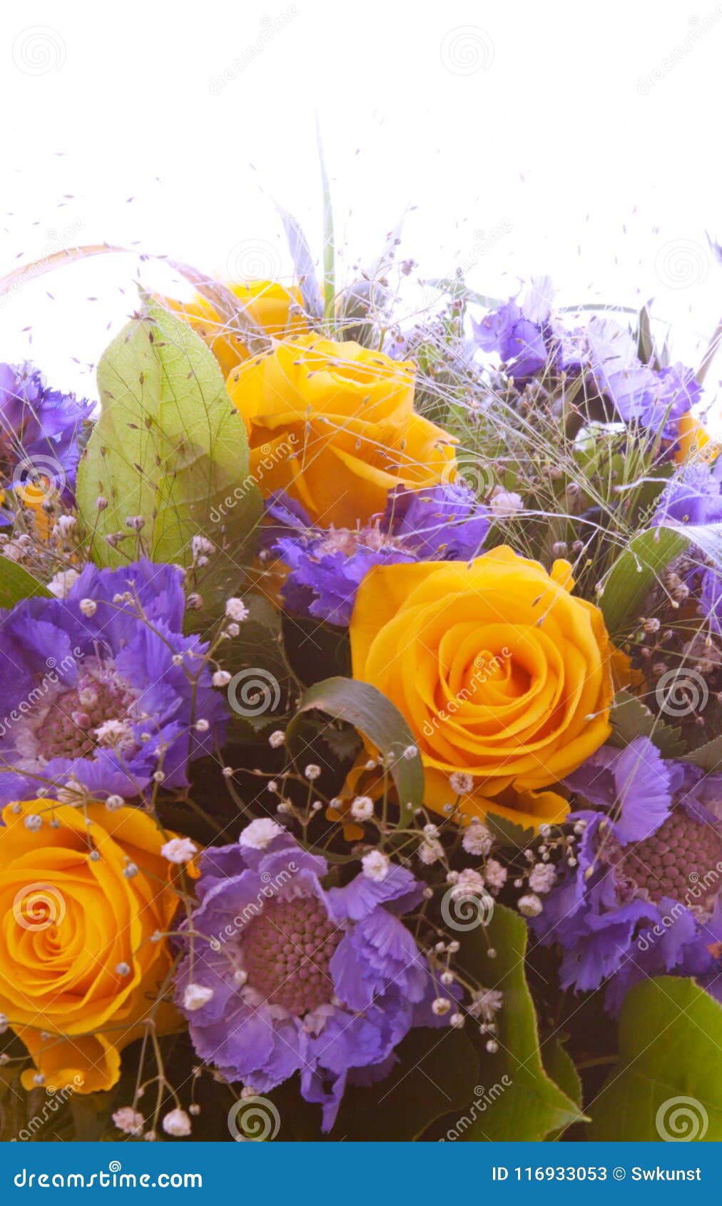 Ramo de rosas amarillas imagen de archivo. Imagen de floral - 116933053