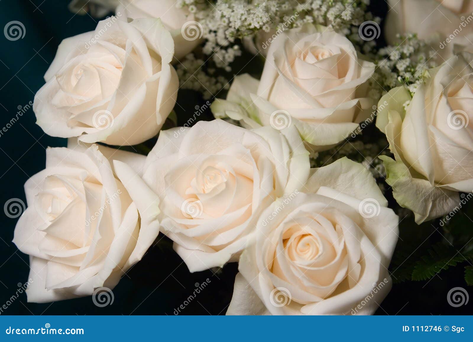 Ramo de rosas blancas foto de archivo. Imagen de fondo - 1112746