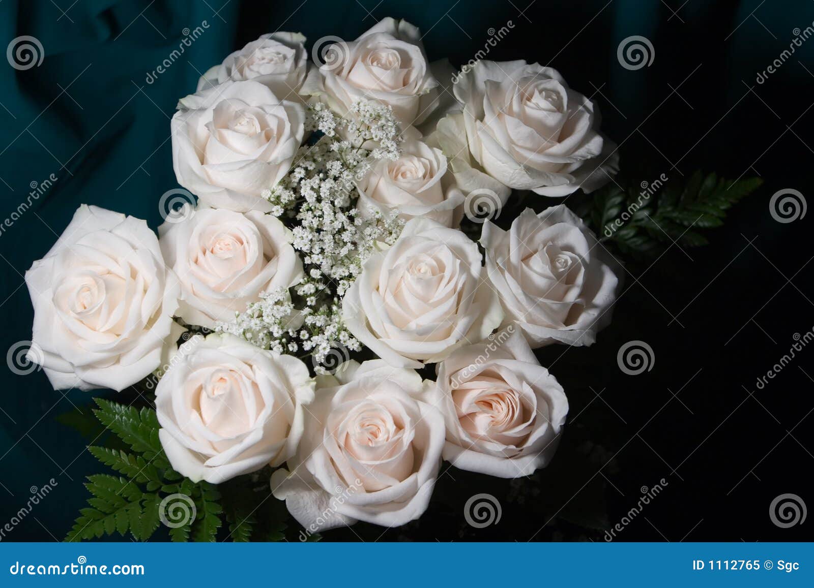 Ramo de rosas blancas imagen de archivo. Imagen de hermoso - 1112765