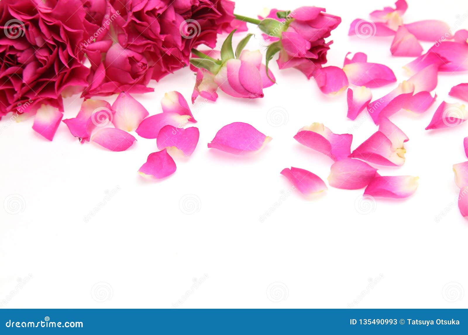 Ramo De Rosas En Un Fondo Blanco Imagen de archivo - Imagen de rosa ...