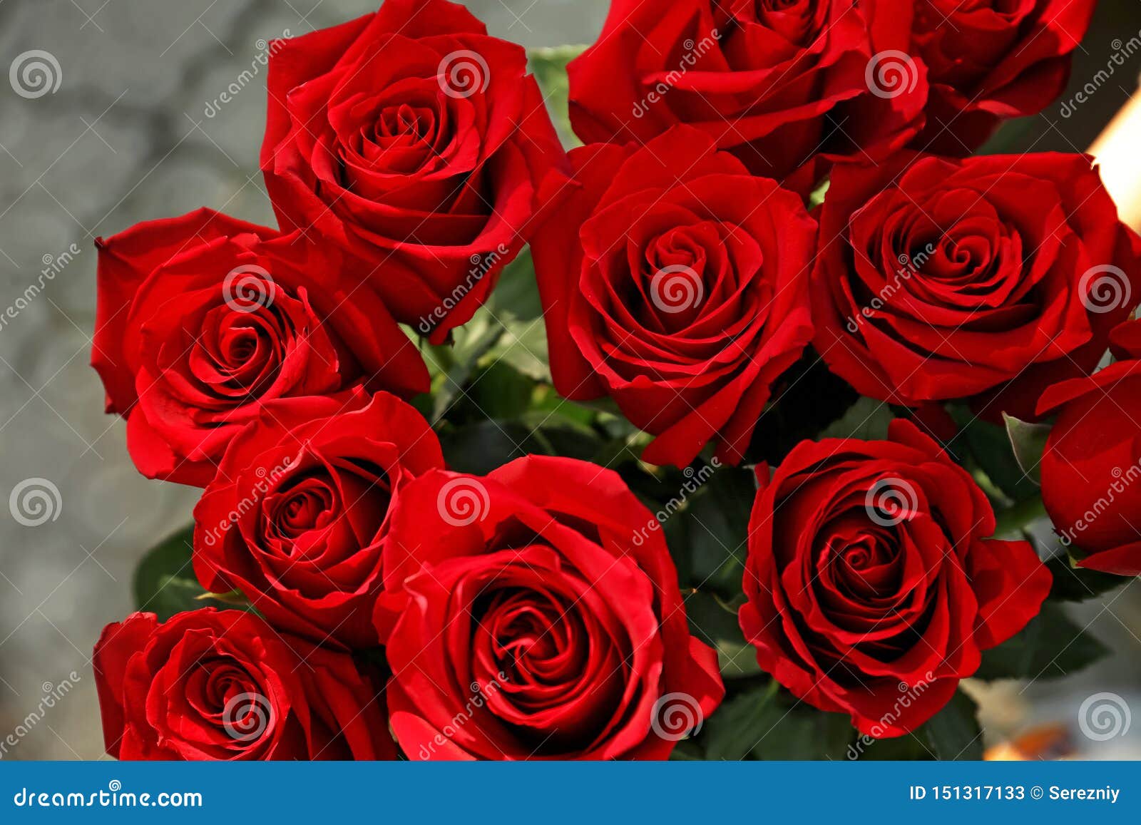 Ramo de rosas hermosas imagen de archivo. Imagen de flores - 151317133