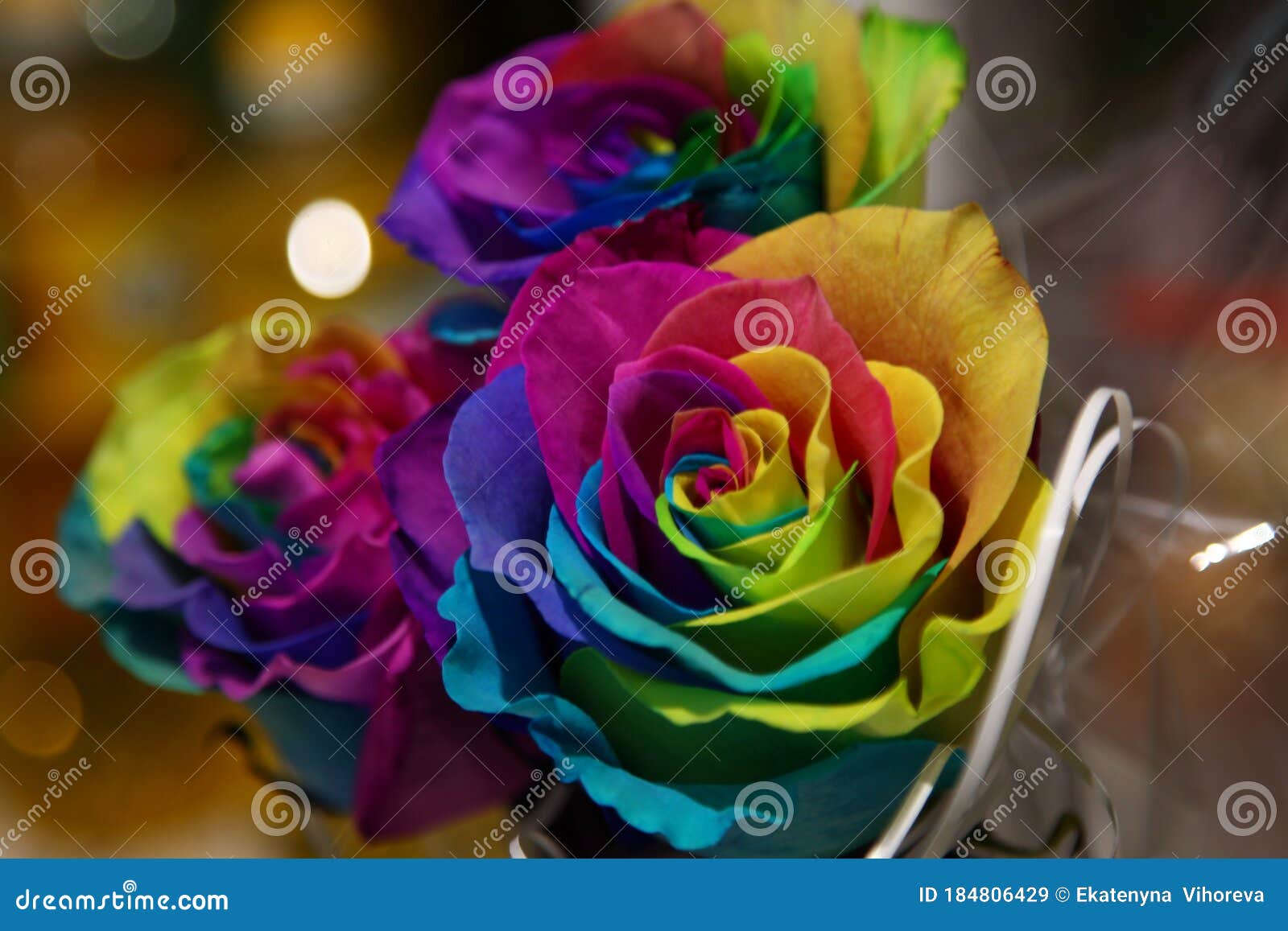Ramo De 3 Rosas Multicolores Colgado Imagen de archivo - Imagen de ramo ...