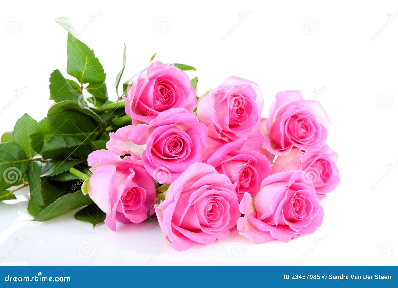 Ramo de rosas rosadas imagen de archivo. Imagen de ramo - 23457985