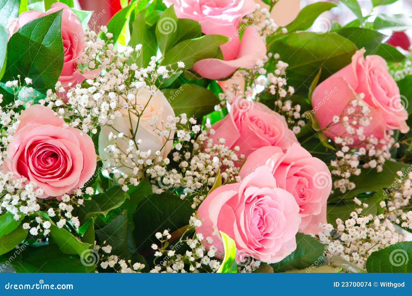 Ramo de rosas rosadas foto de archivo. Imagen de color - 23700074