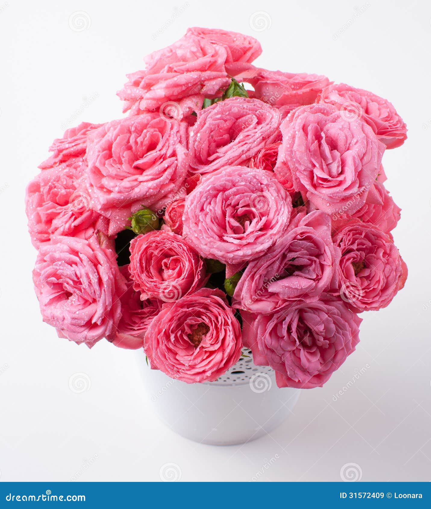 Ramo De Rosas Rosadas Brillantes Aisladas Imagen de archivo - Imagen de ...