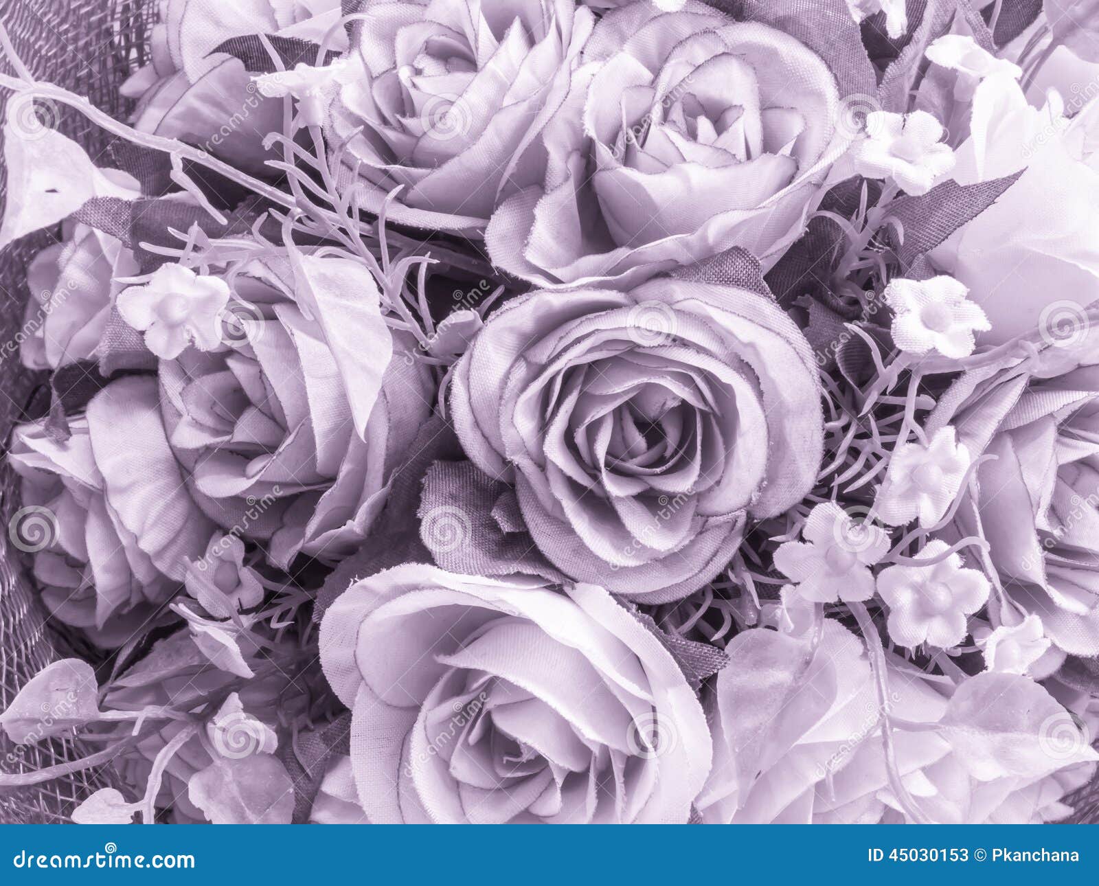 Ramo De Rose, Color Violeta De La Imagen Imagen de archivo - Imagen de ...