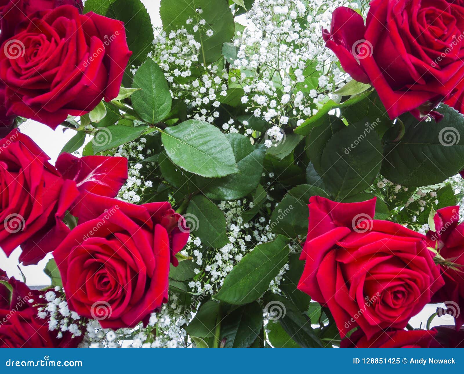 Ramo De Rose Desde Arriba Ancho Imagen de archivo - Imagen de verano ...