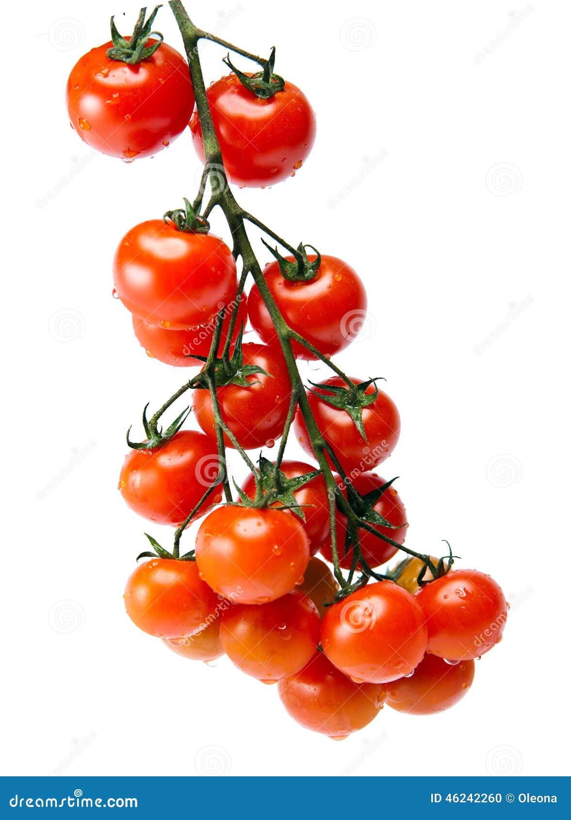 Ramo De Tomates De Cereja, Isolado No Fundo Branco Foto de Stock ...