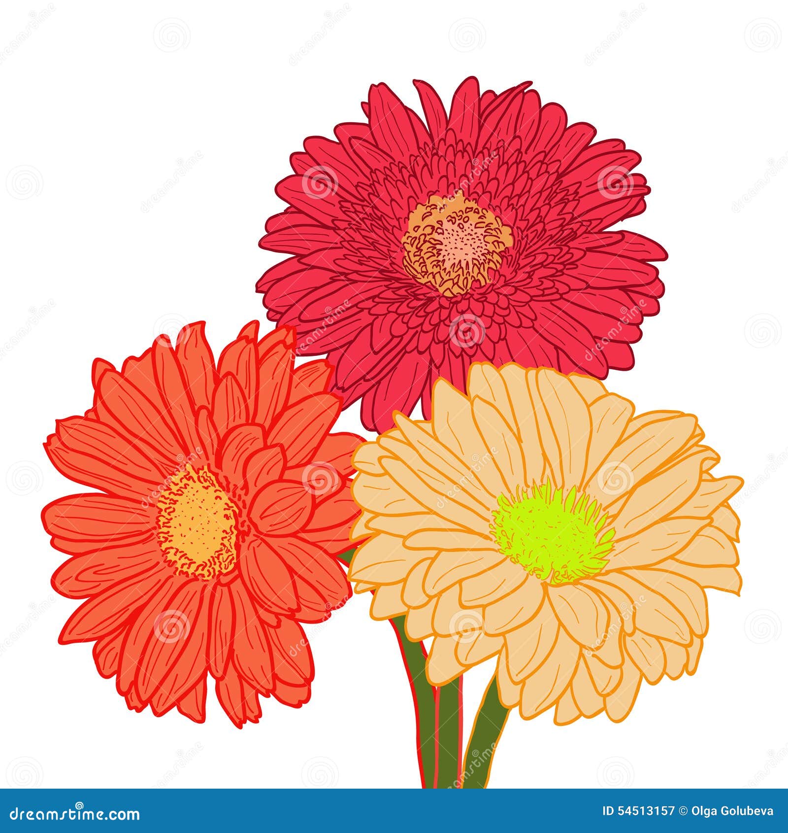 Ramo De Tres Gerberas Coloridos Mano Drenada Ilustración del Vector - Ilustración de germinador ...