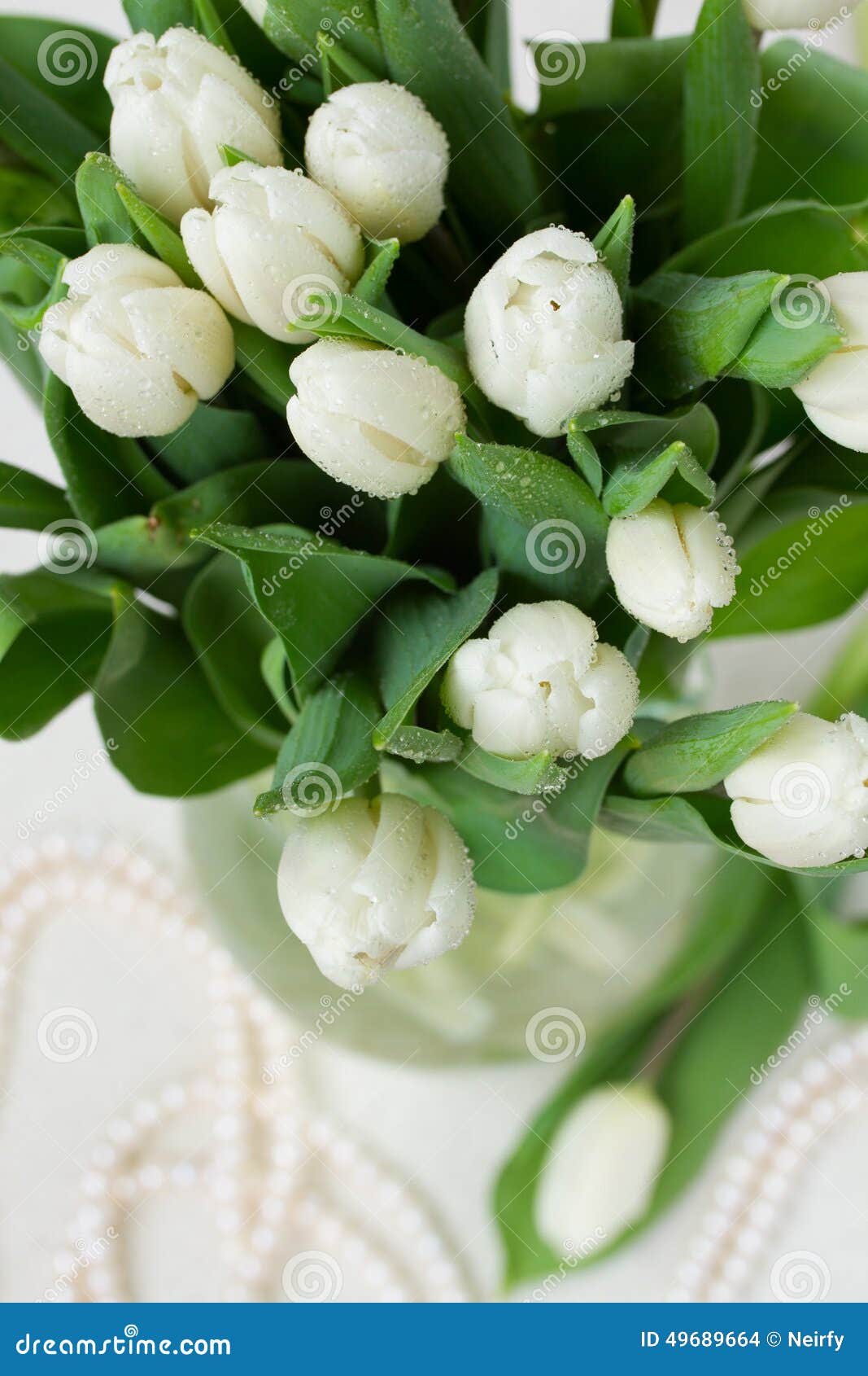 Ramo de tulipanes blancos foto de archivo. Imagen de verde - 49689664