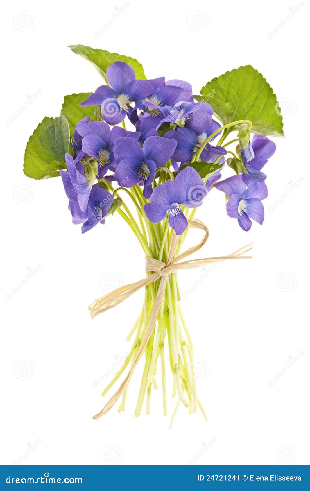 Ramo de violetas imagen de archivo. Imagen de violetas - 24721241