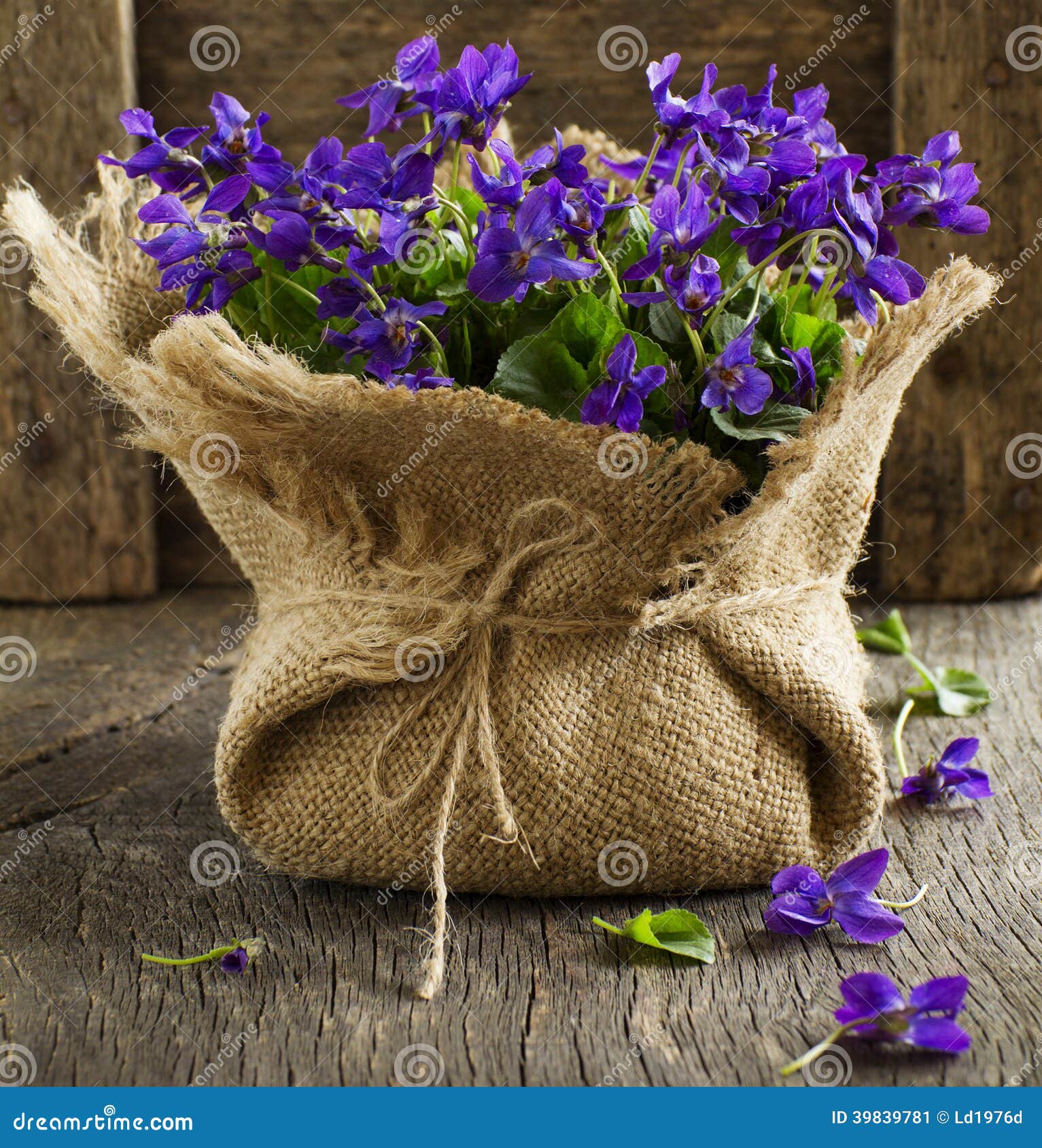 Ramo De Violetas De La Primavera Imagen de archivo - Imagen de violetas ...