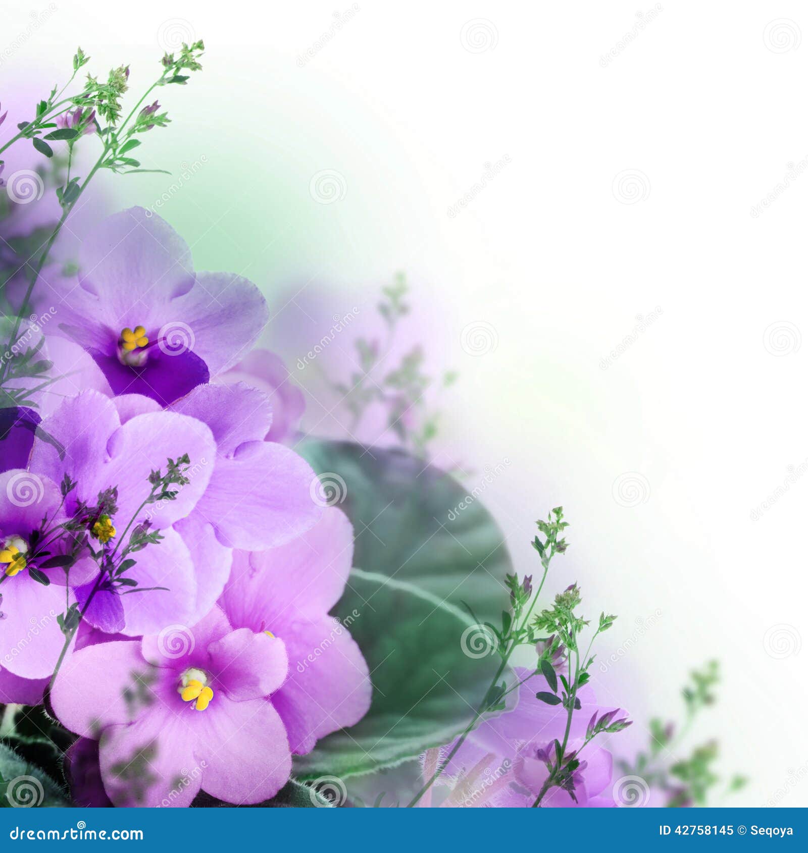 Ramo De Violetas De La Primavera Imagen de archivo - Imagen de salvaje ...