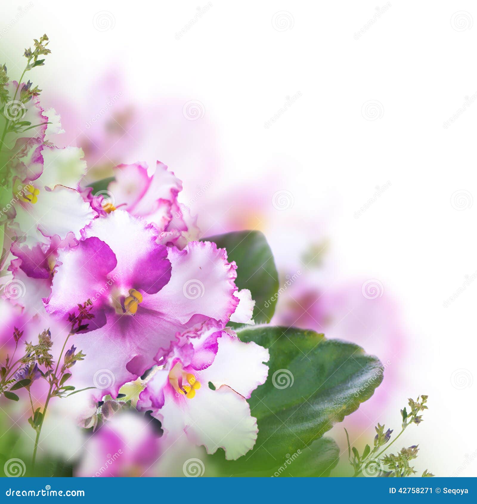 Ramo De Violetas De La Primavera Imagen de archivo - Imagen de hermoso ...