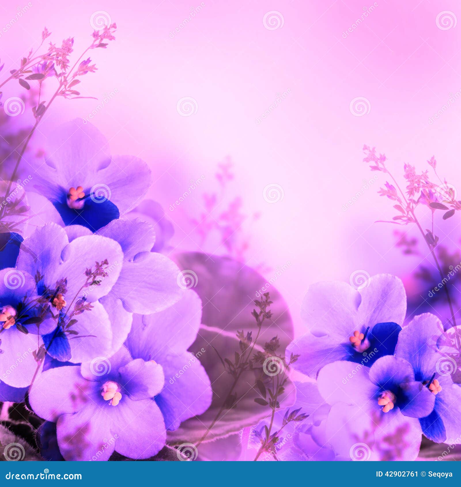 Ramo De Violetas De La Primavera Imagen de archivo - Imagen de planta ...