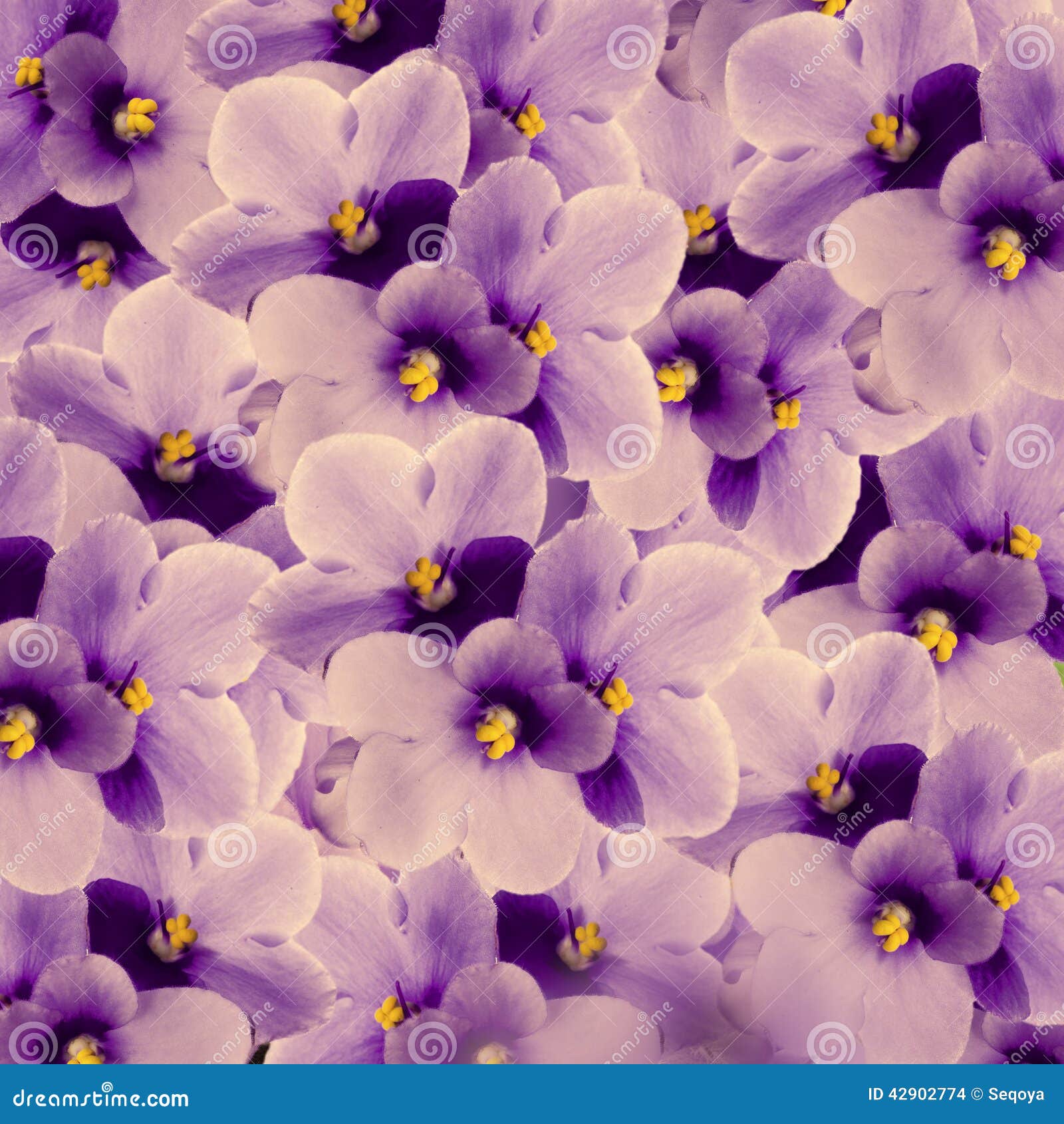 Ramo De Violetas De La Primavera Foto de archivo - Imagen de manojo ...