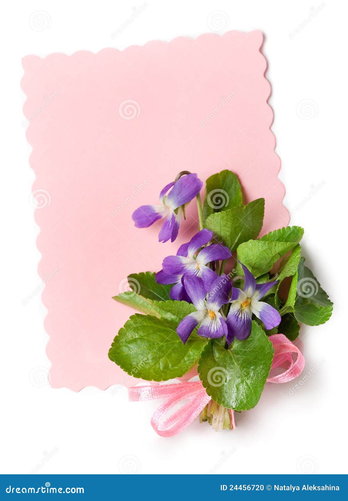 Ramo de violetas salvajes foto de archivo. Imagen de hoja - 24456720