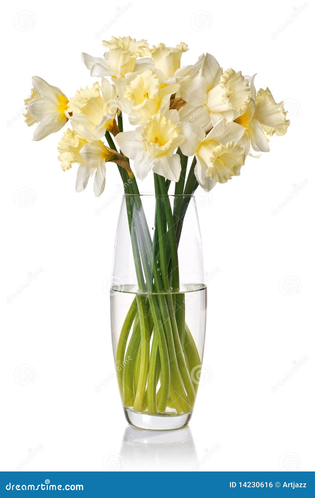 Ramo Del Narciso Blanco En Florero Foto de archivo - Imagen de romance ...