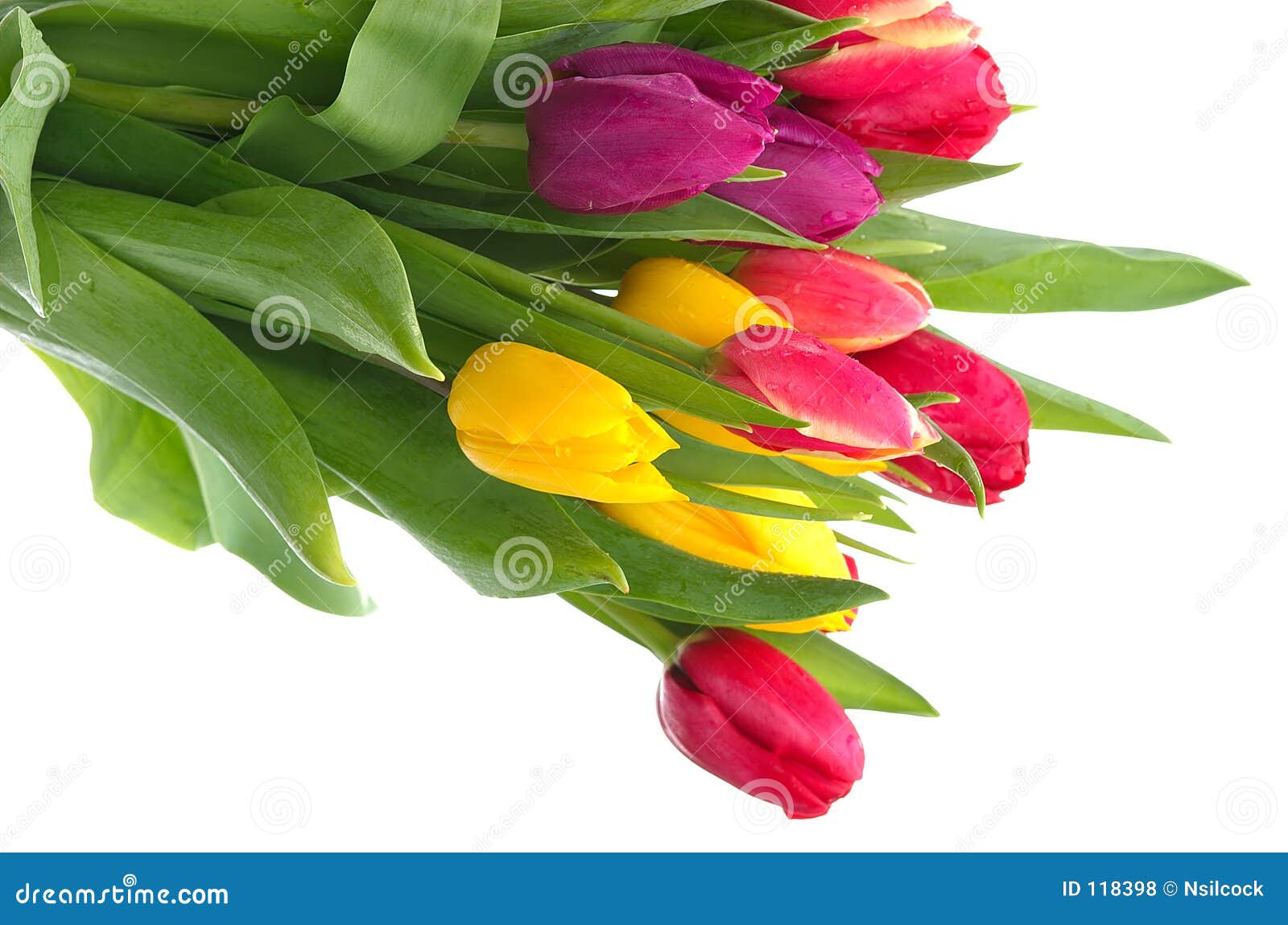 Ramo del tulipán foto de archivo. Imagen de mezcla, mezclado - 118398