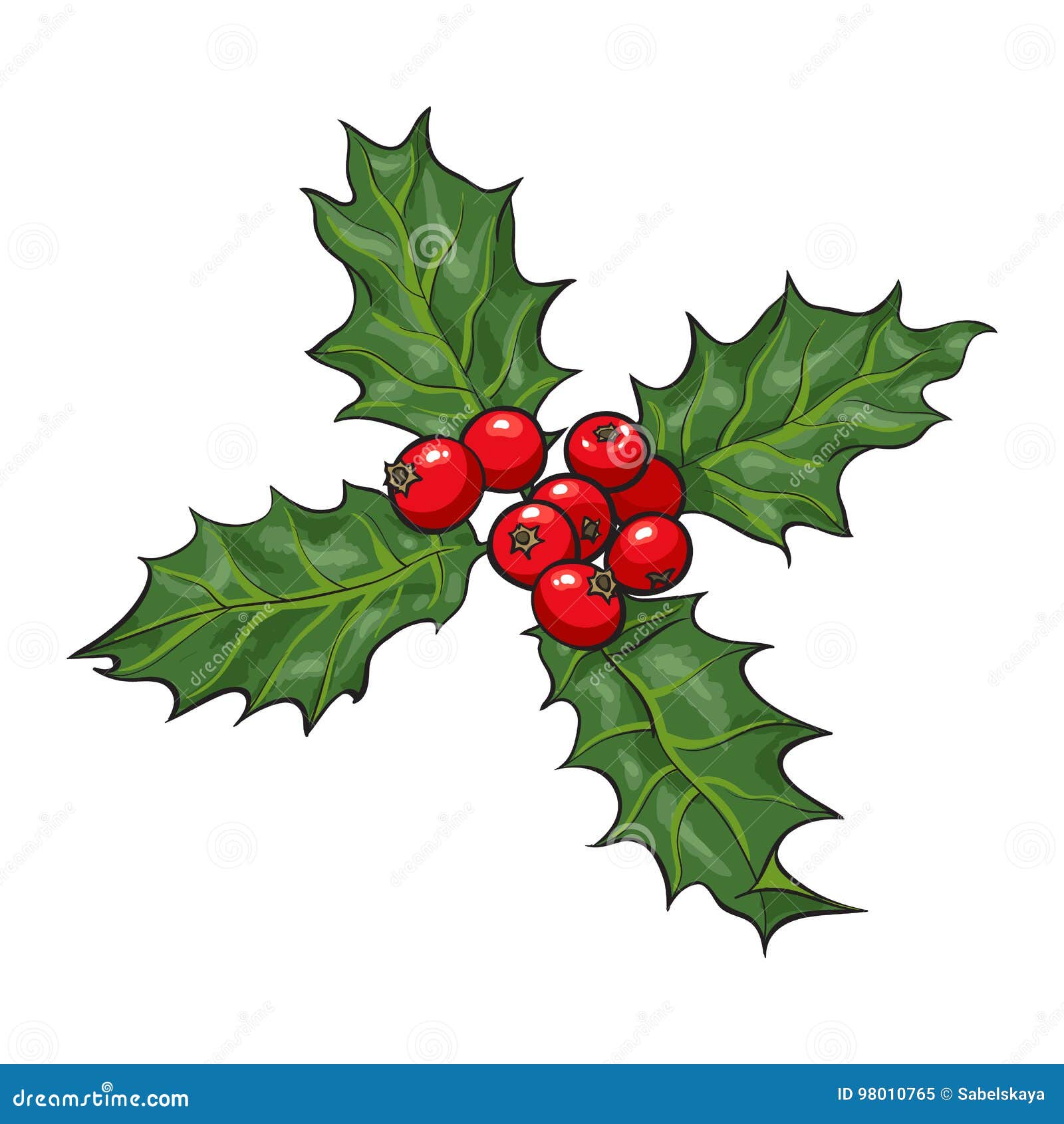 Ramo Del Vischio Con Le Foglie E Le Bacche Illustrazione Vettoriale ...