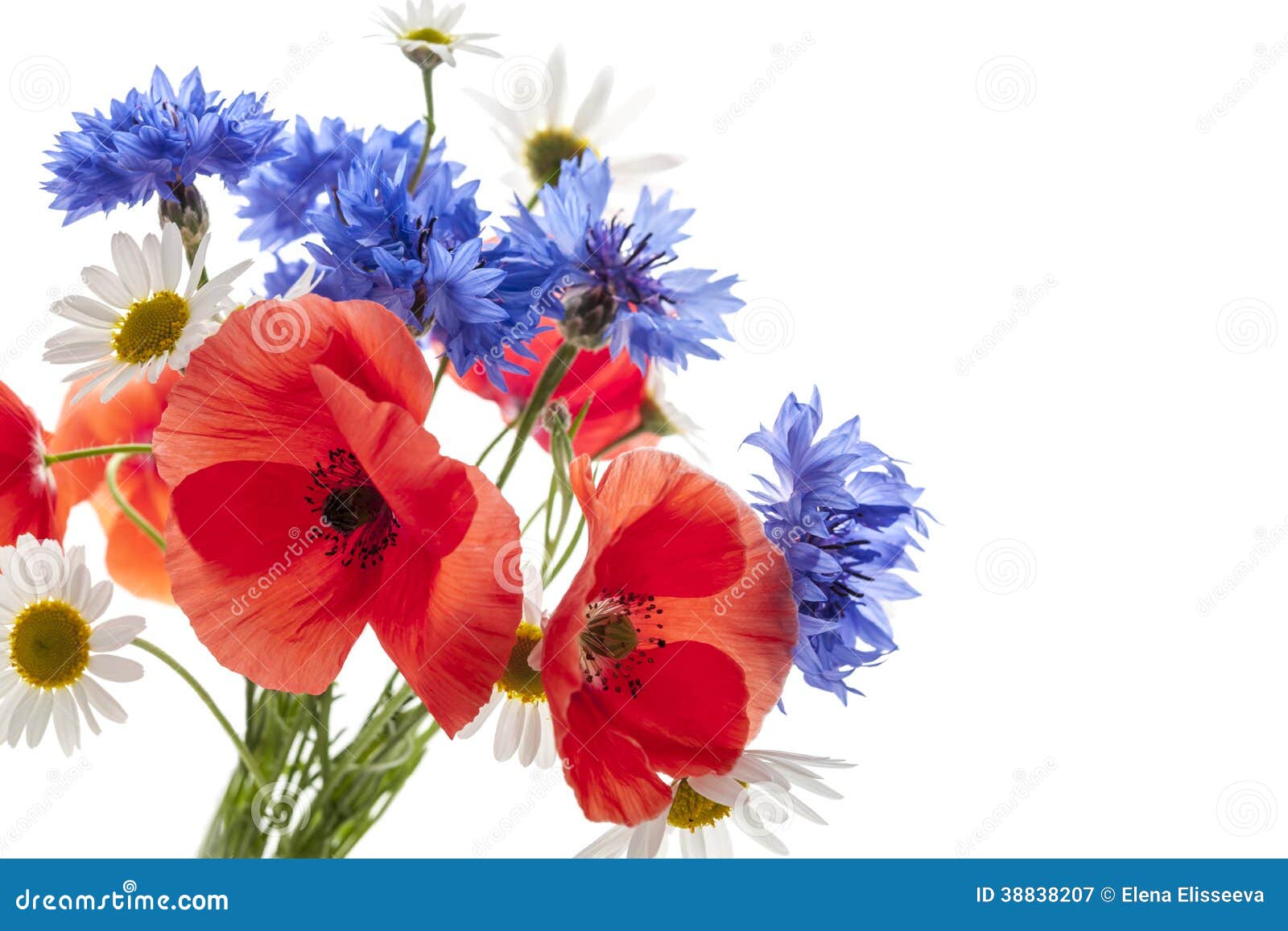 Ramo del Wildflower imagen de archivo. Imagen de copia - 38838207