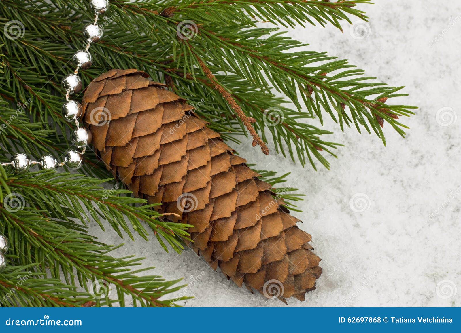 Ramo Dell'albero Di Natale Con La Pigna Fotografia Stock - Immagine di ...