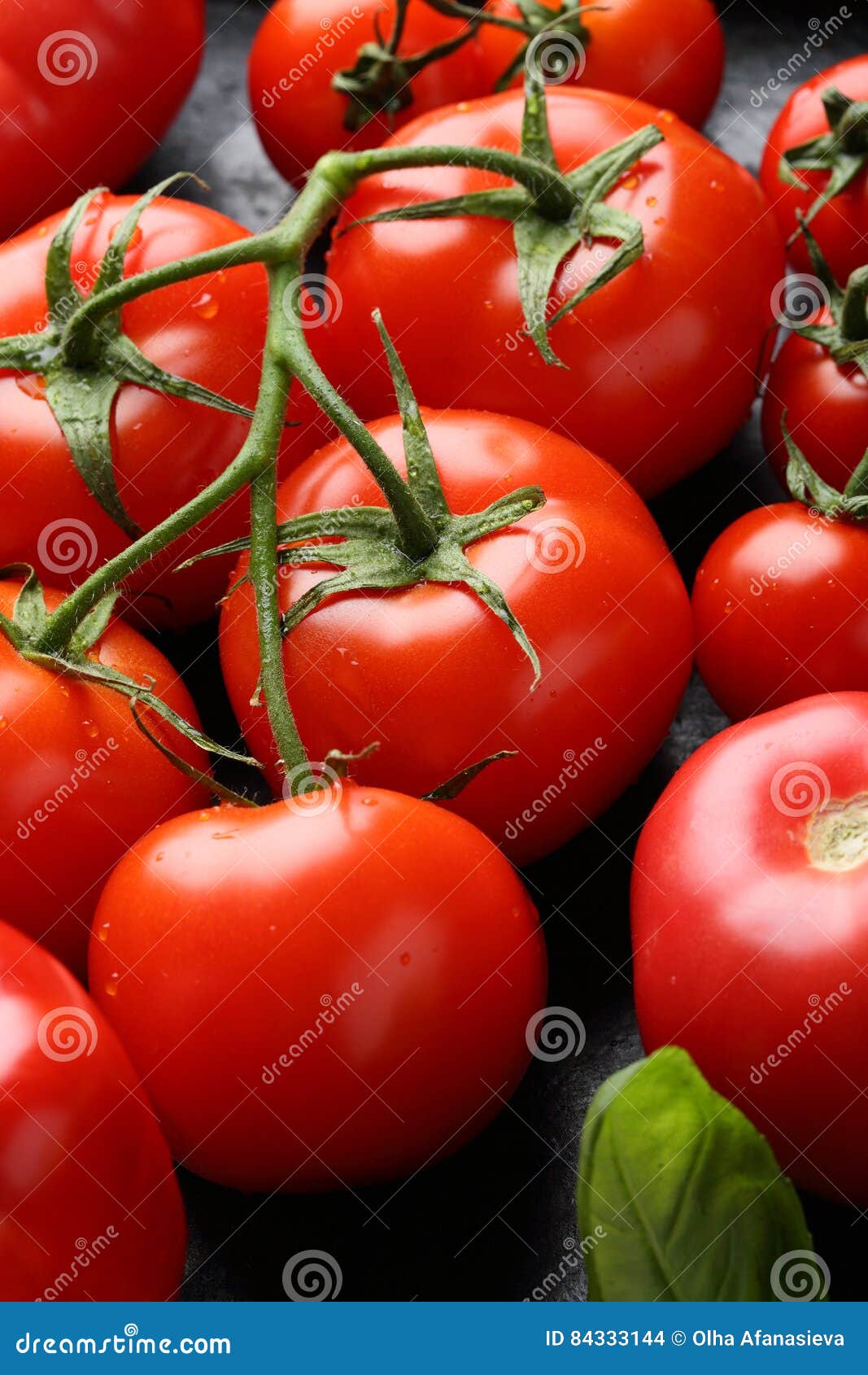 Ramo Do Close Up Vermelho Dos Tomates Foto de Stock - Imagem de filial ...