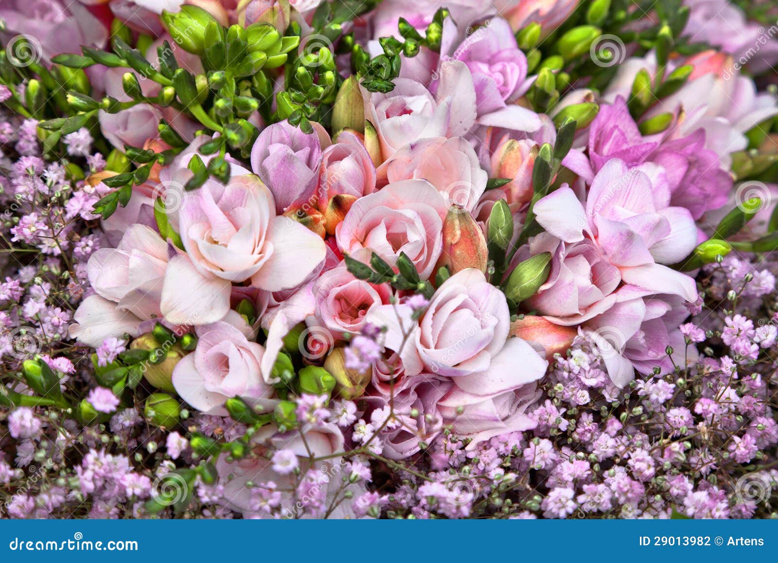 Ramo Hermoso De Flores Rosadas. Foto de archivo - Imagen de fondo ...