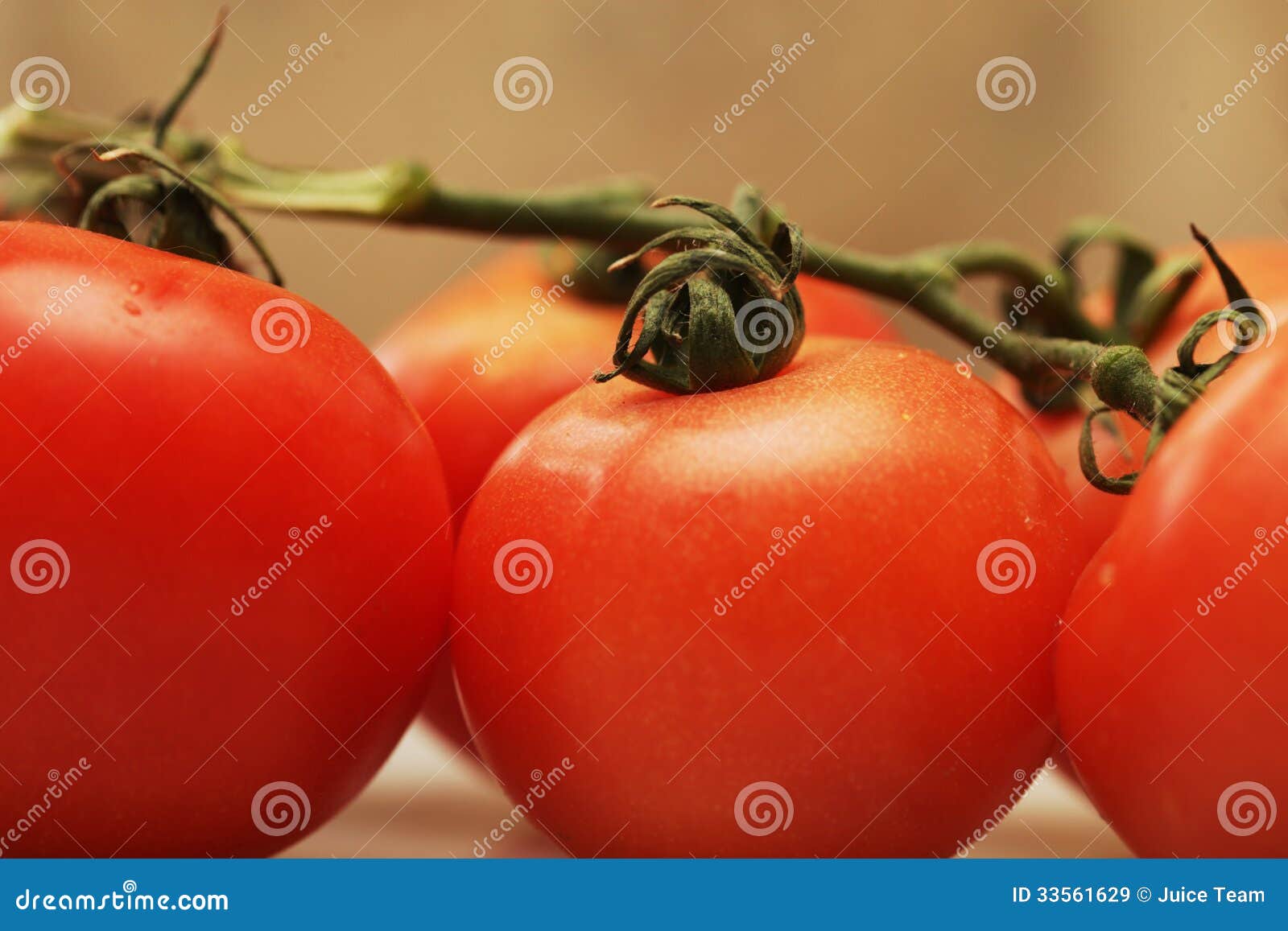 Ramo maduro do tomate imagem de stock. Imagem de alimento - 33561629