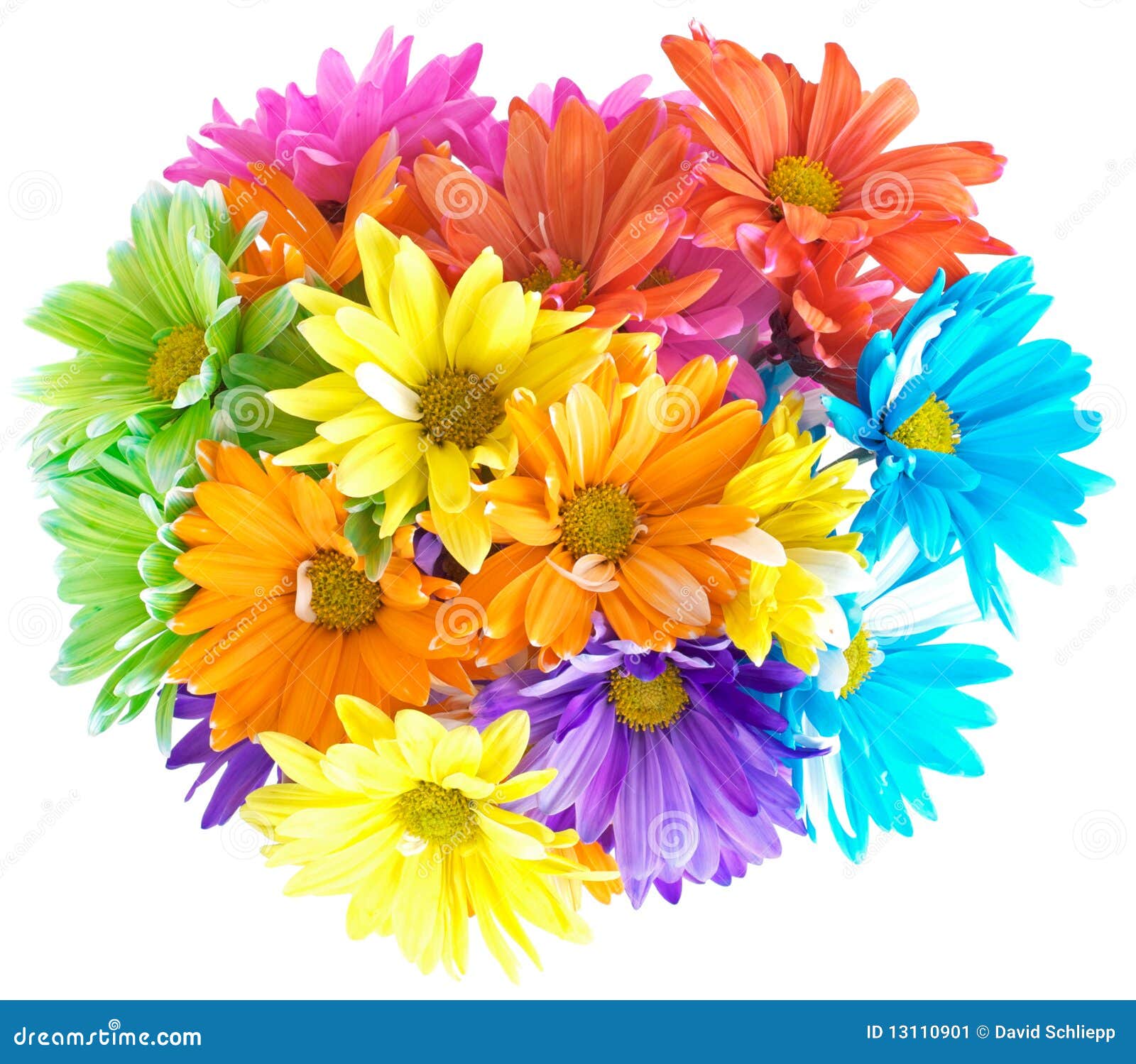 Ramo Multicolor Vibrante De La Margarita Imagen de archivo - Imagen de ...