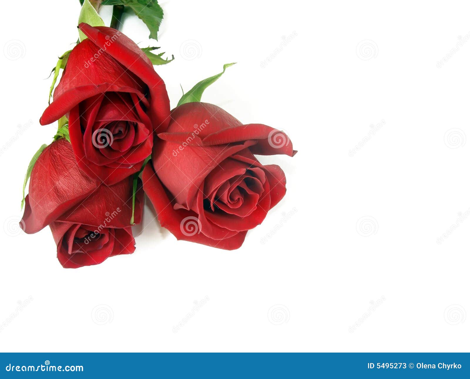 Ramo a Partir De Tres Rosas Rojas. Imagen de archivo - Imagen de ...