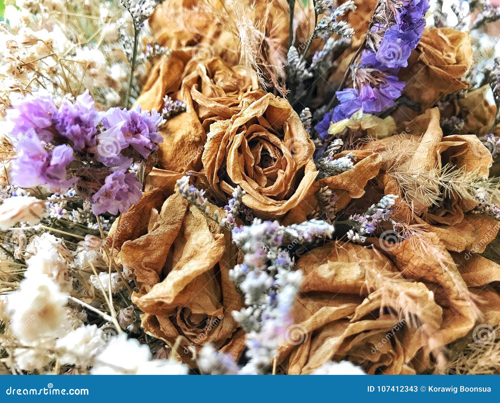 Ramo seco de la flor imagen de archivo. Imagen de cubo - 107412343