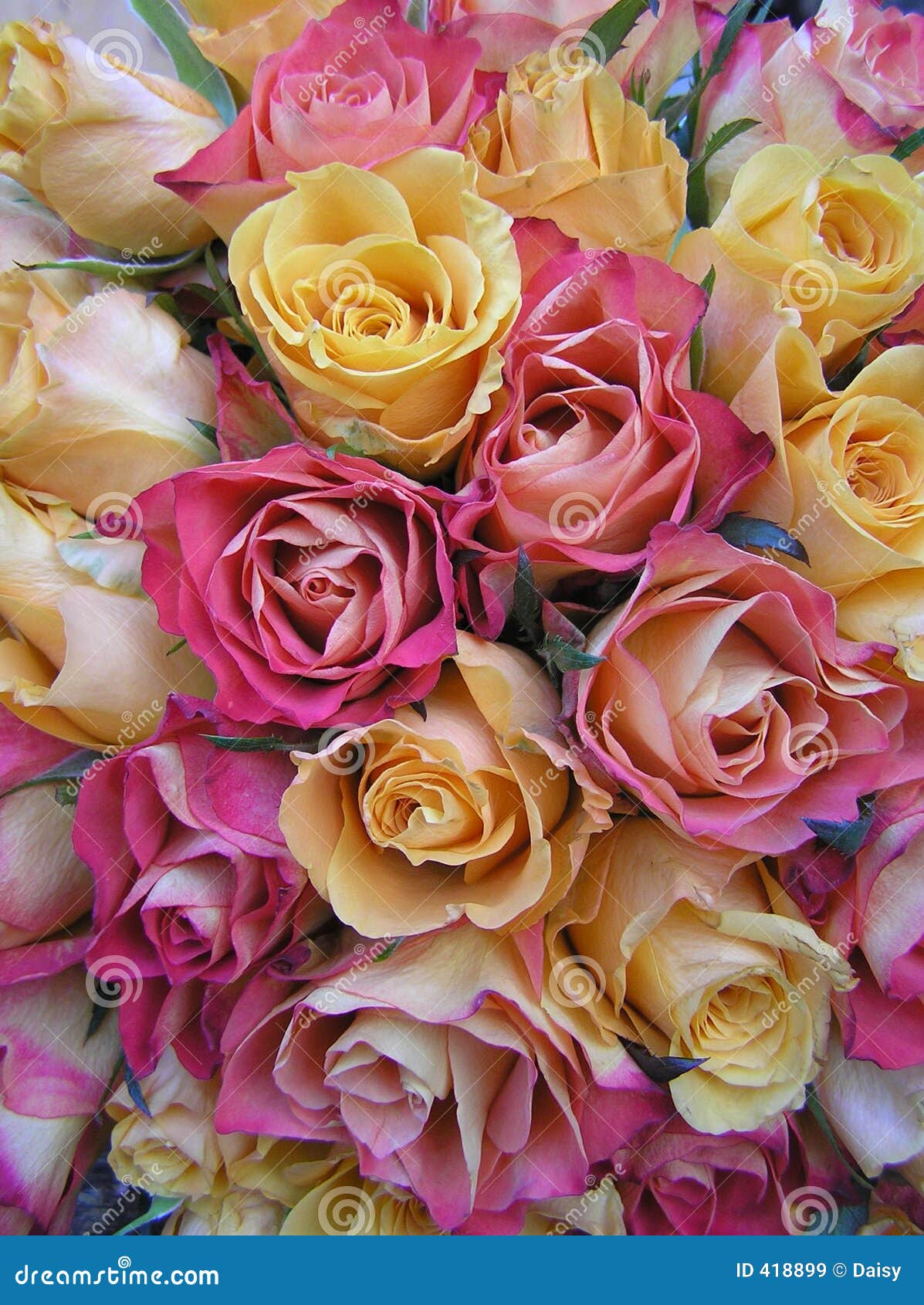 Ramo Wedding Coloreado Suave Imagen de archivo - Imagen de vacaciones ...