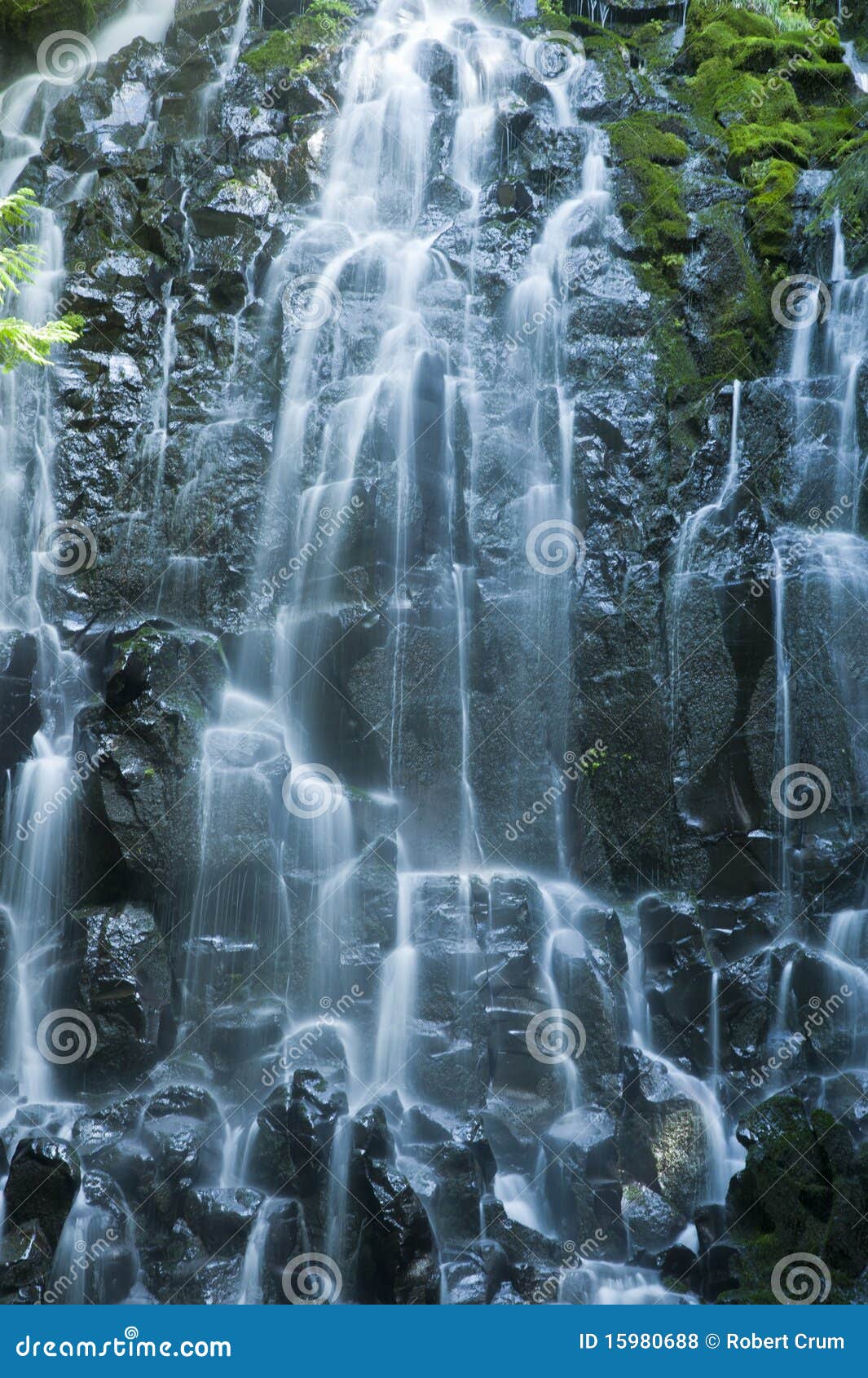 Ramona Falls stock photo. Image of pacific, hood, vertical - 15980688