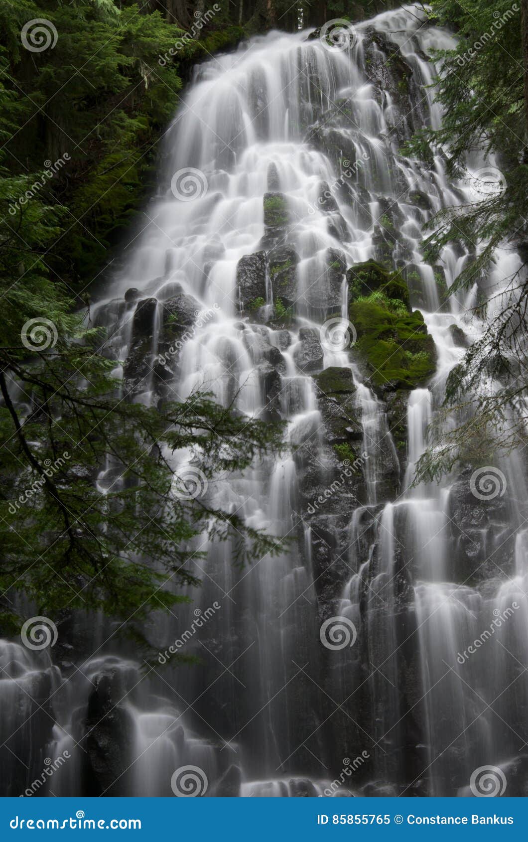 Ramona Falls Close Up stock image. Image of oregon, falls - 85855765