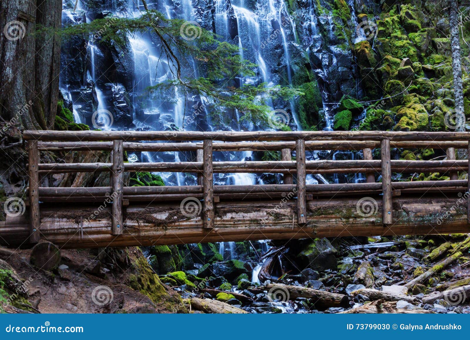 Ramona Falls stock photo. Image of green, fresh, fall - 73799030