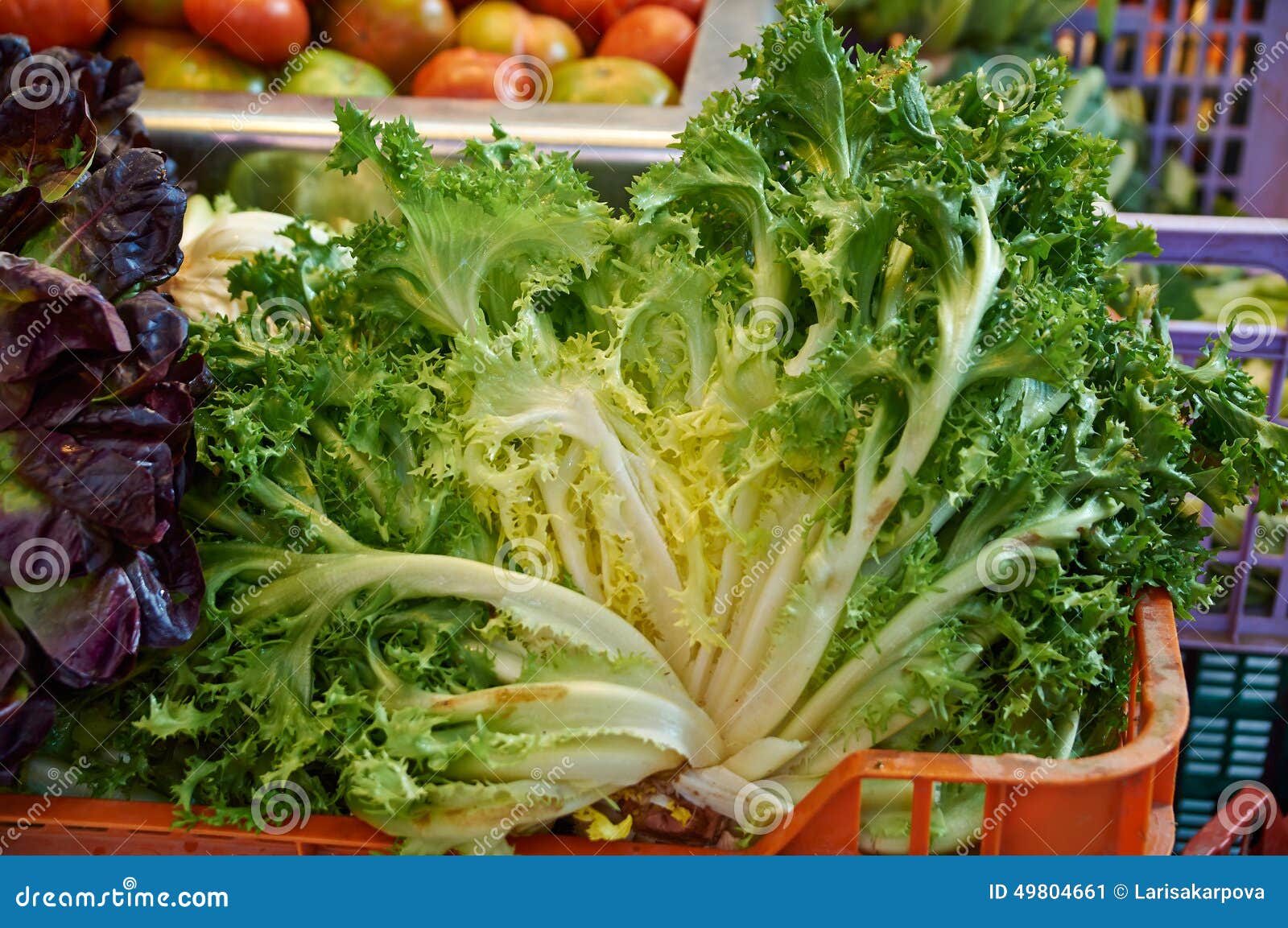 Ramos De Lechuga Rizada Enorme Imagen de archivo - Imagen de ...