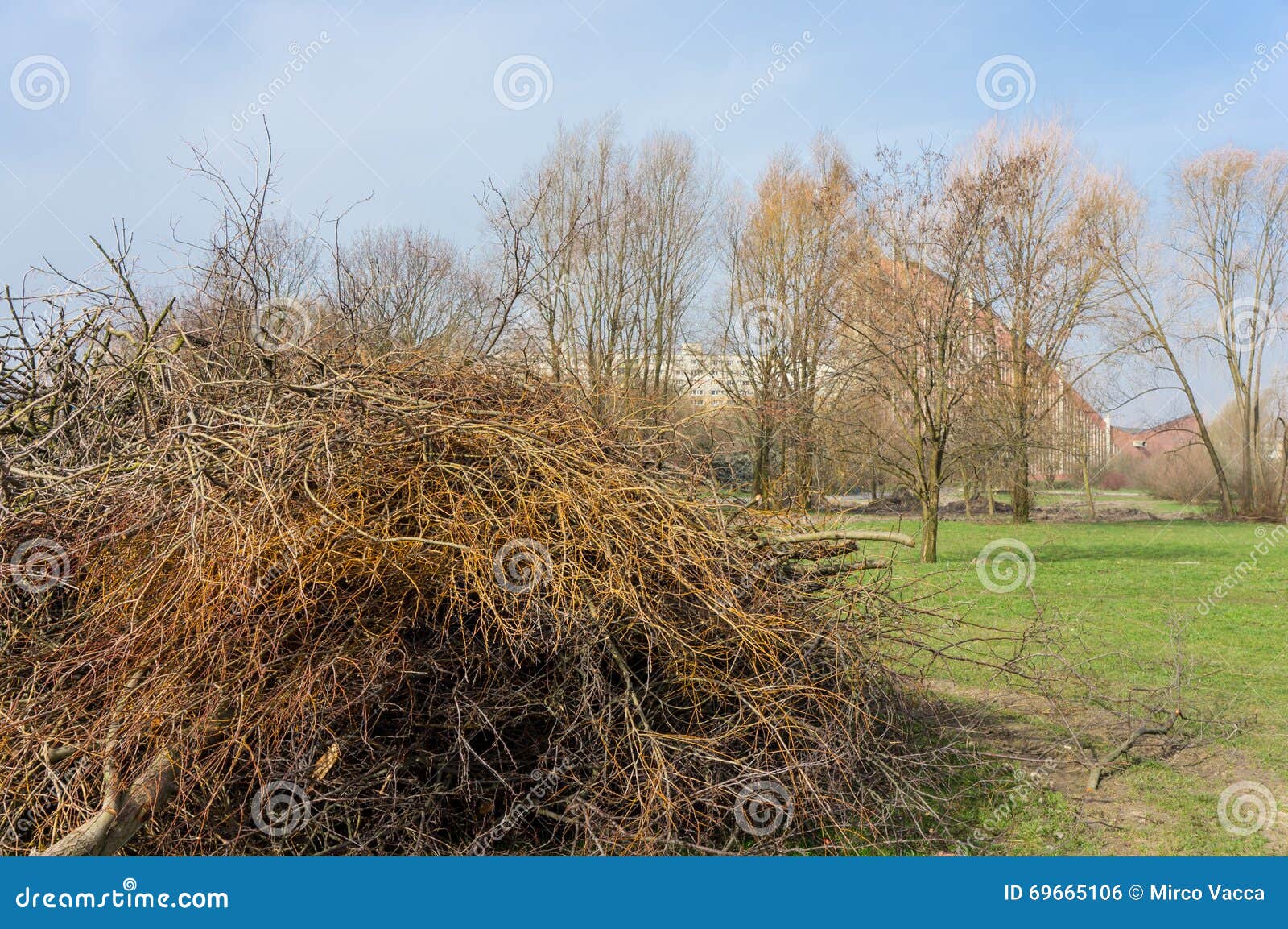 Ramoscelli fotografia stock. Immagine di mucchio, esterno - 69665106