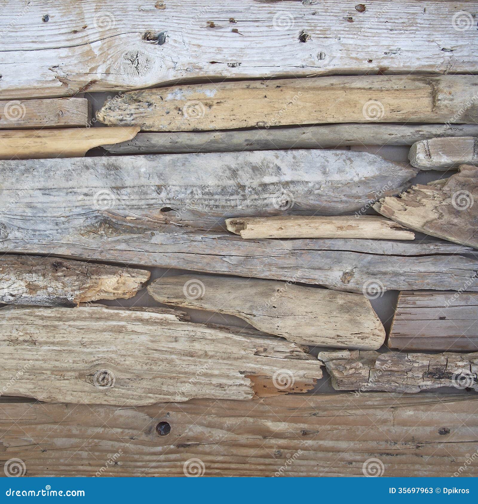 Ramoscelli E Pezzi Di Legno Lucidati Dal Mare Immagine Stock - Immagine ...