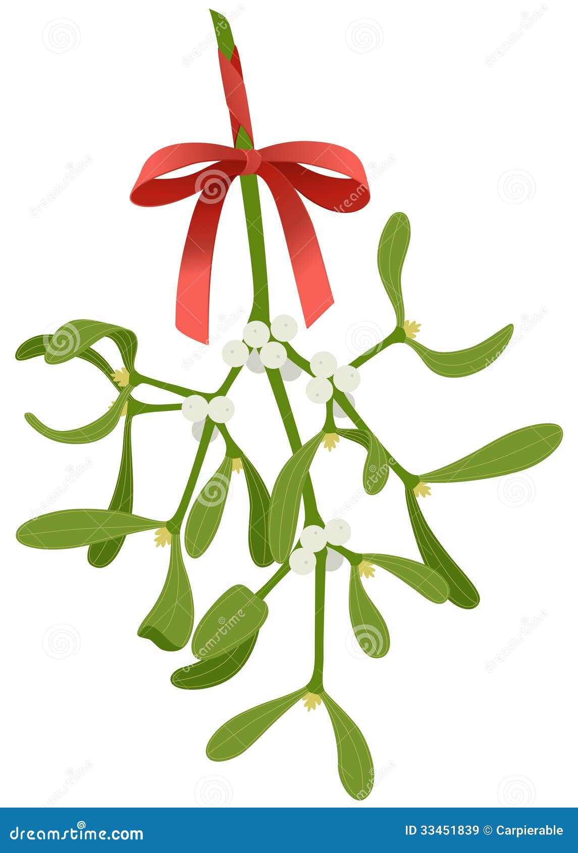 Ramoscello del vischio illustrazione vettoriale. Illustrazione di santa ...