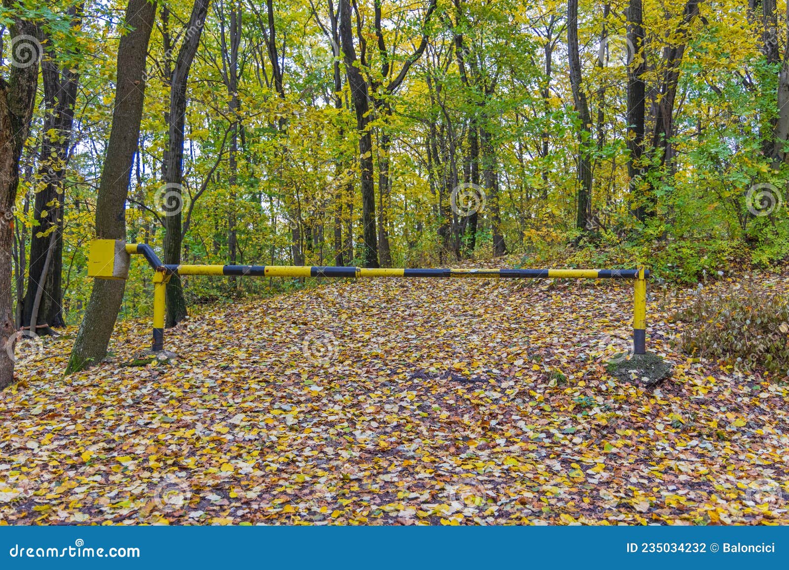 Ramp Barrier Fall Woods stock photo. Image of leaves - 235034232