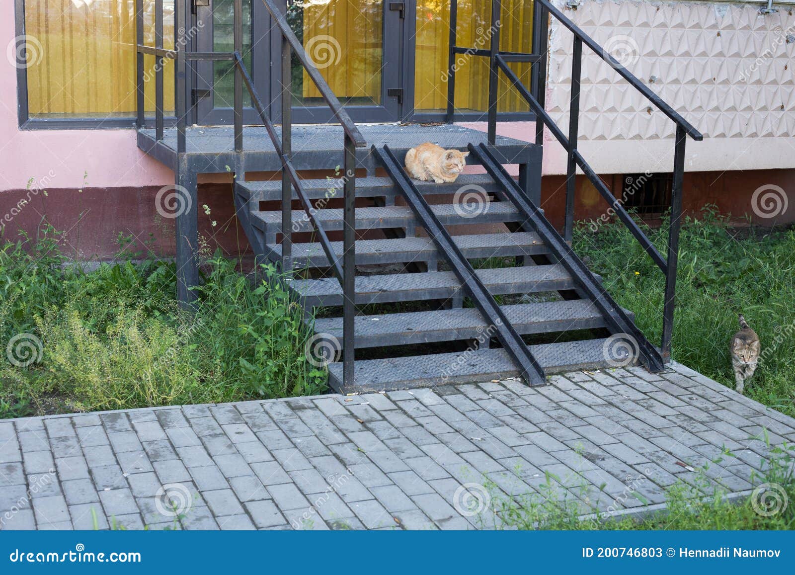 Ramp for People with Disabilities and for those Who Has Reduced ...