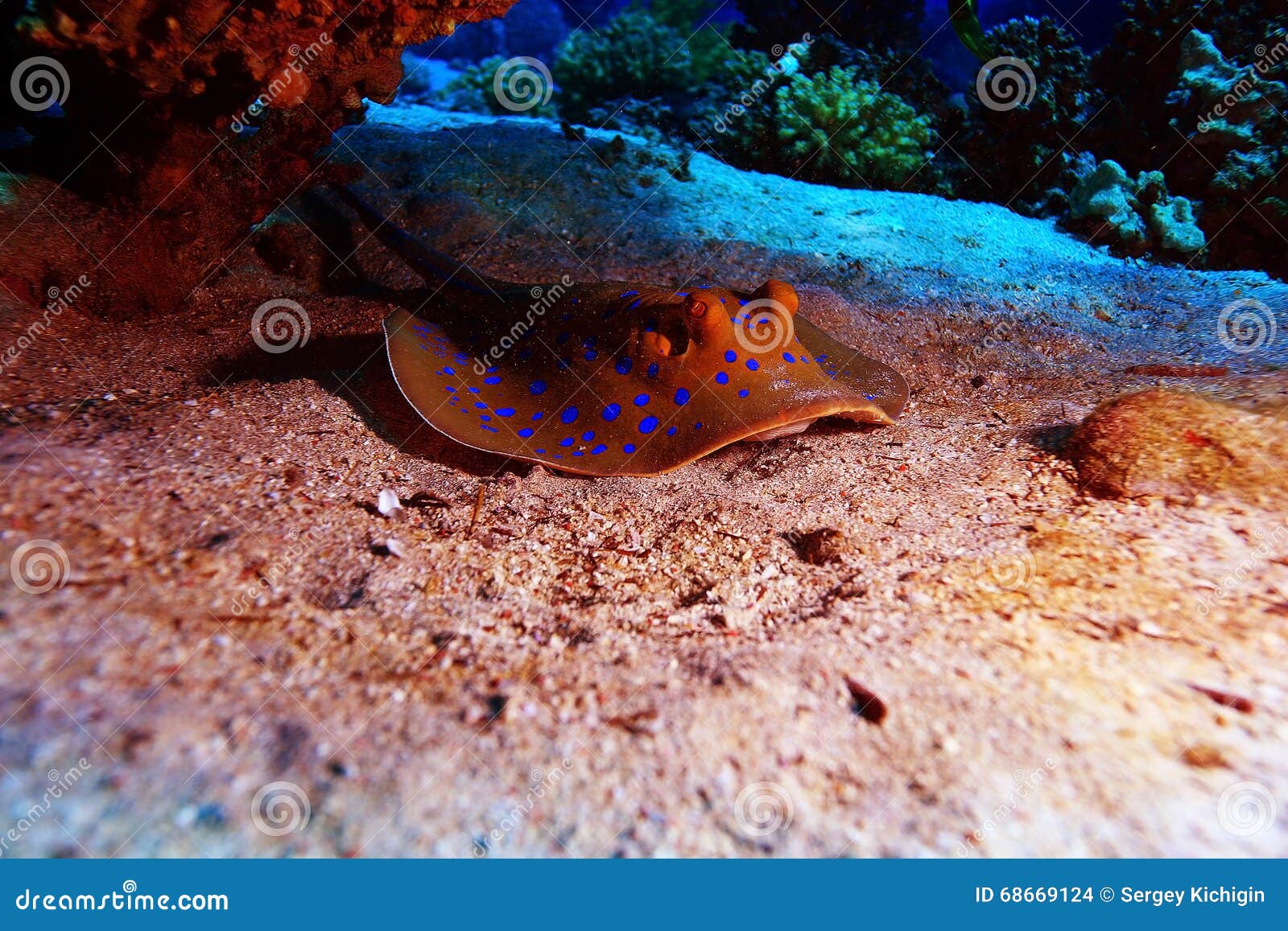 Ramp sea under water stock photo. Image of drawing, fish - 68669124