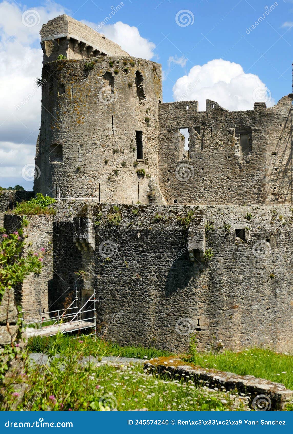The Ramparts and the Old Dungeon of the Castle of Clisson Stock Photo ...