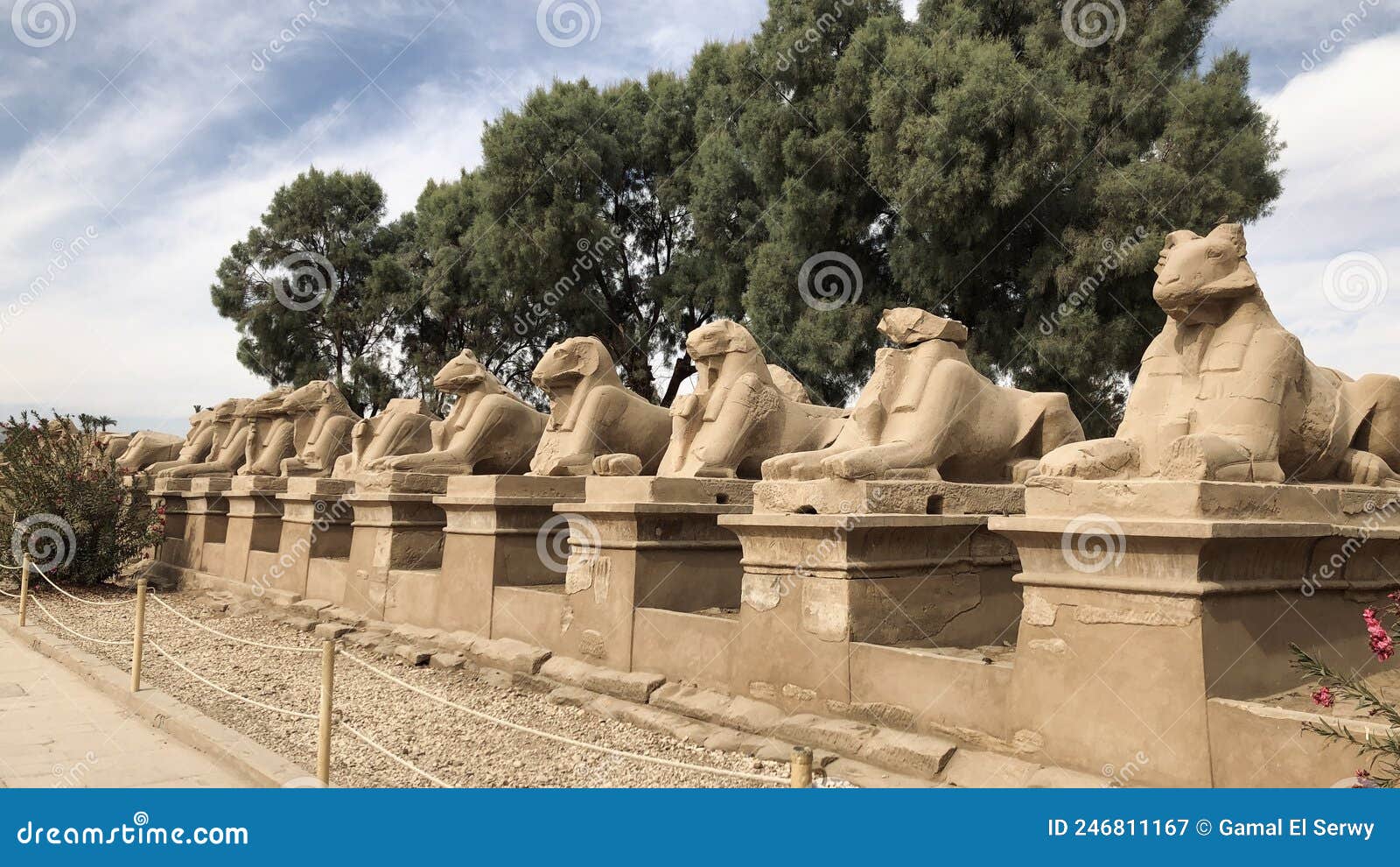 Rams Statue, Luxor - Karnak Temple Stock Image - Image of rams, statue ...