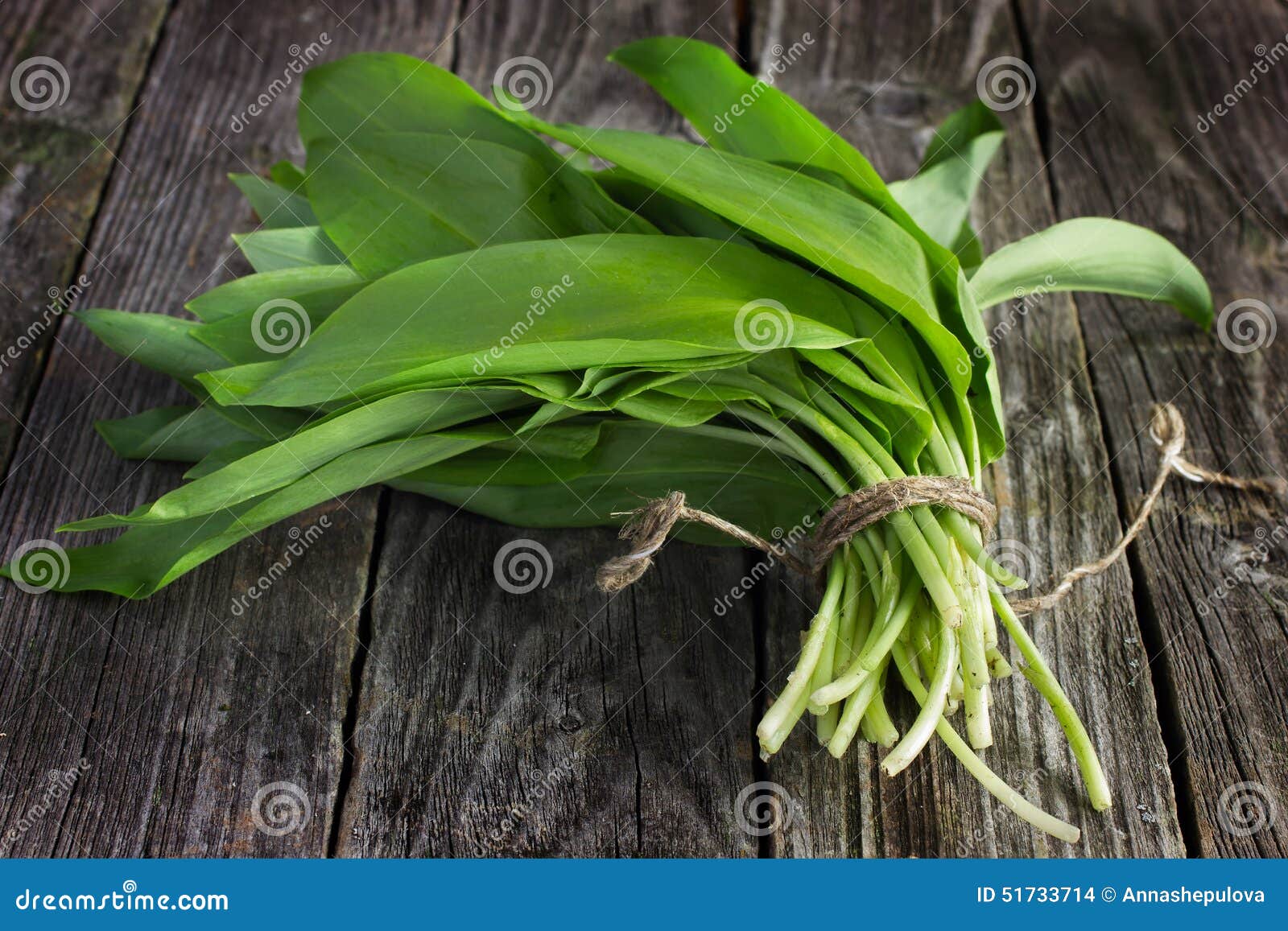 Ramson arkivfoto. Bild av äta, ferie, aptit, fjäder, matlagning - 51733714